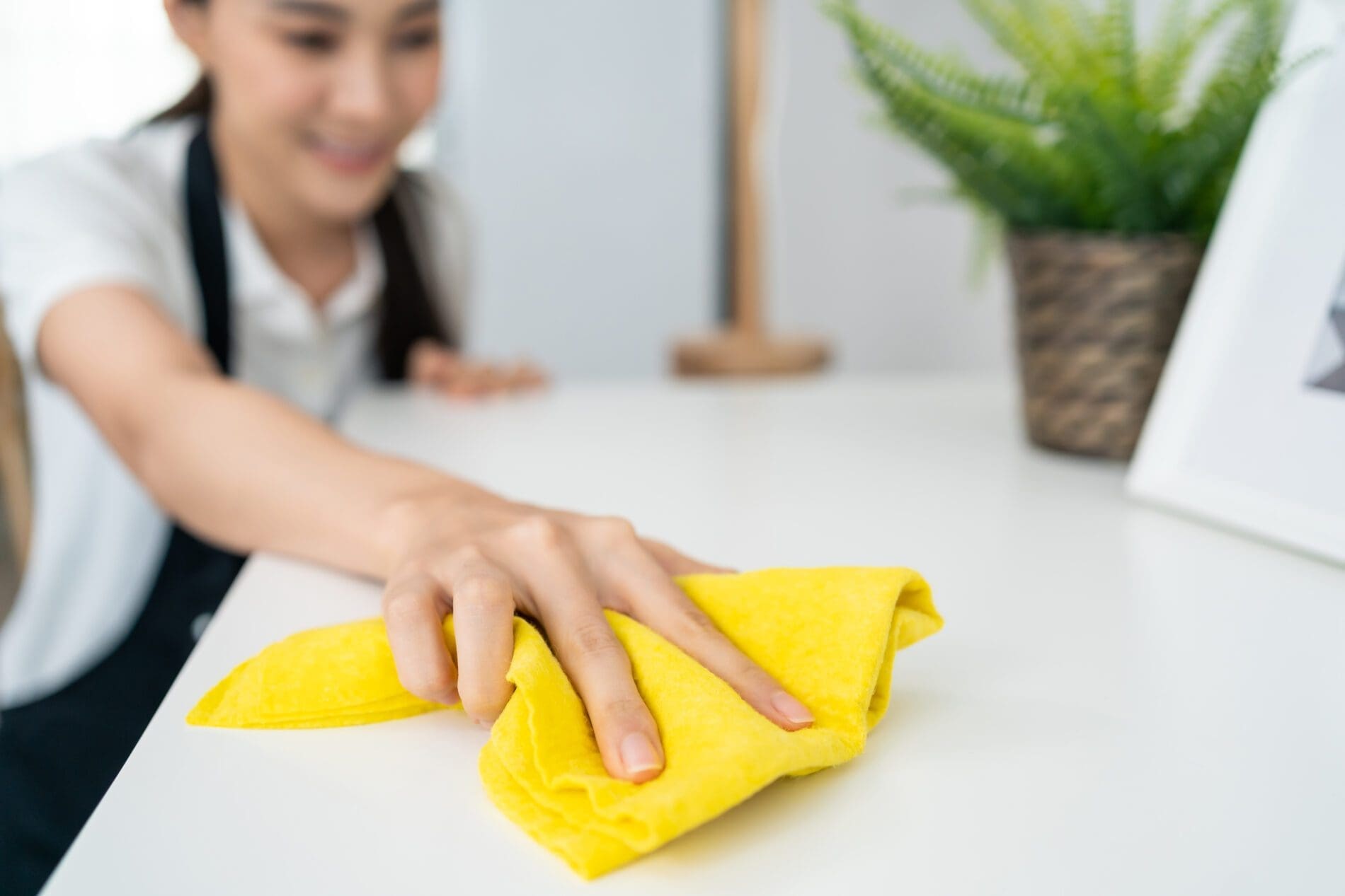 How HD Cleaning Services’ Professional House Cleaning Service in Allen ...